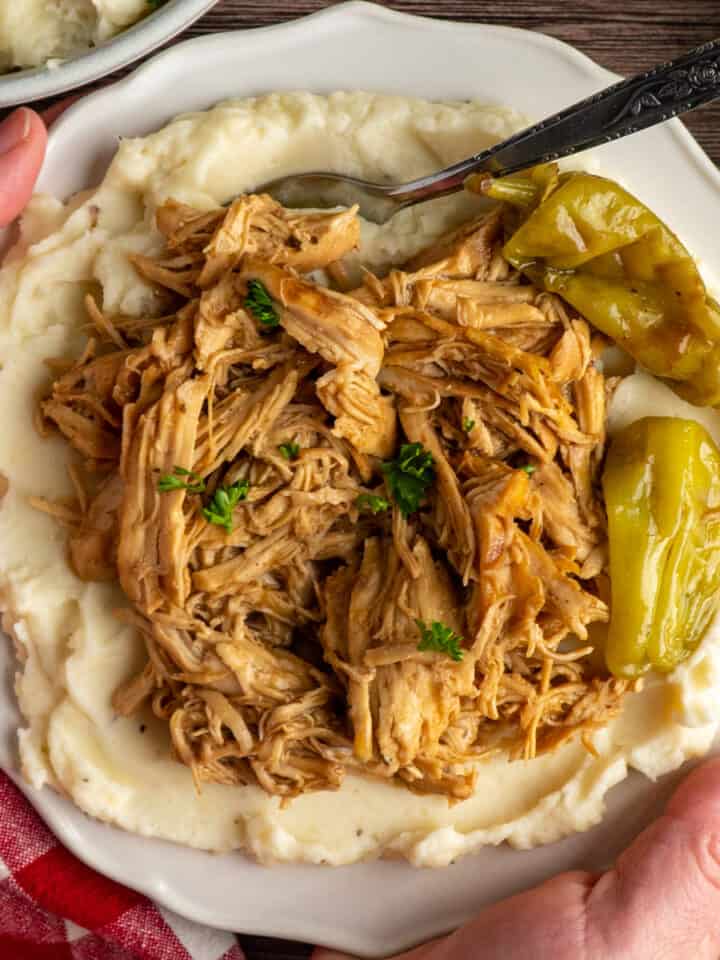 Crock Pot Chicken and Rice - Slow Cooker Meals