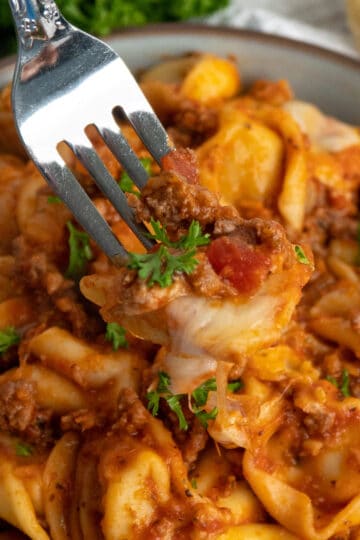 Cheesy Crock Pot Tortellini - Slow Cooker Meals
