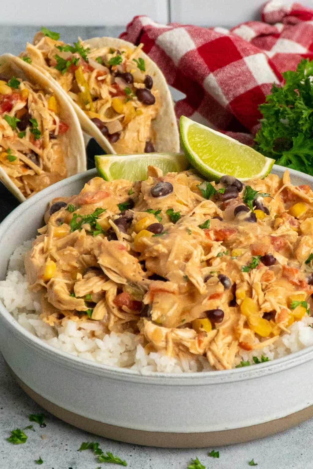 Crock Pot Fiesta Chicken - Slow Cooker Meals