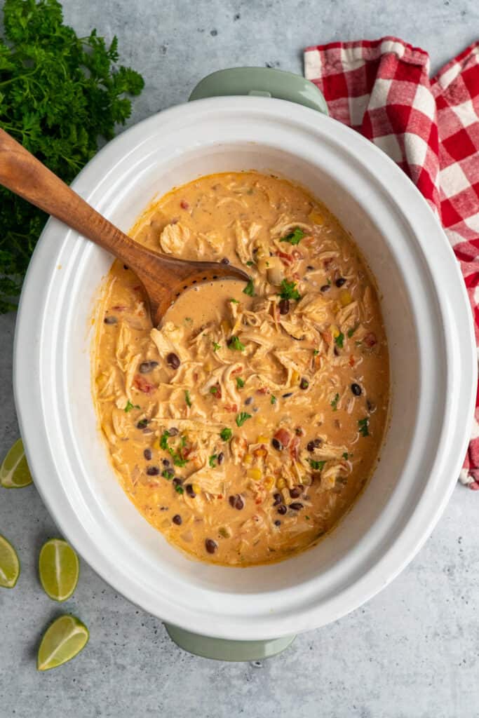 Crock Pot Fiesta Chicken - Slow Cooker Meals