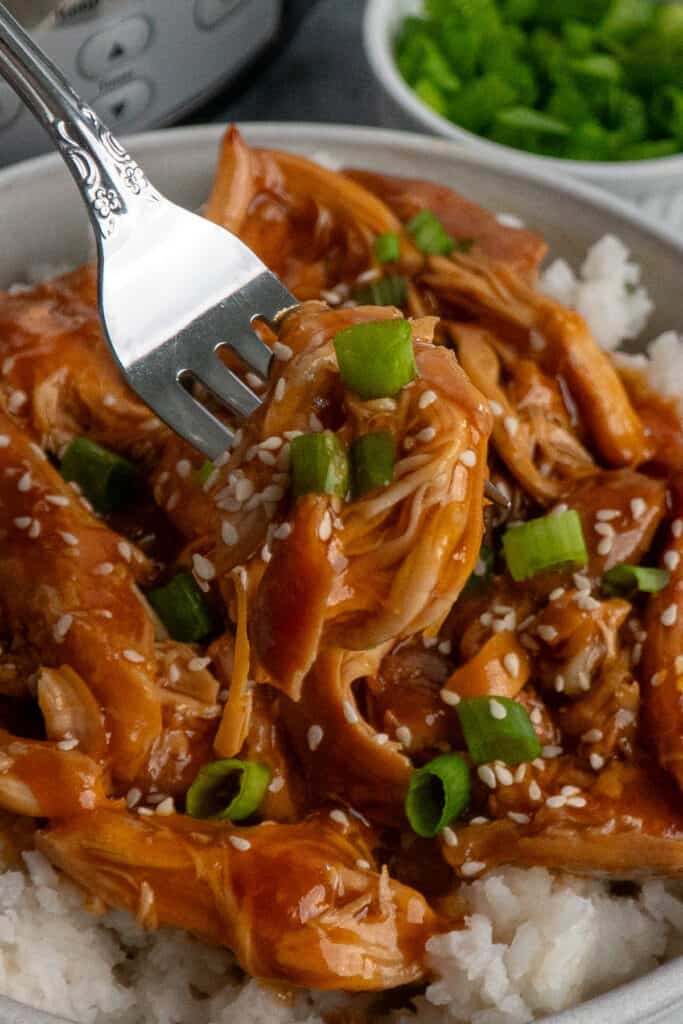 Crockpot Huli Huli Chicken - Slow Cooker Meals
