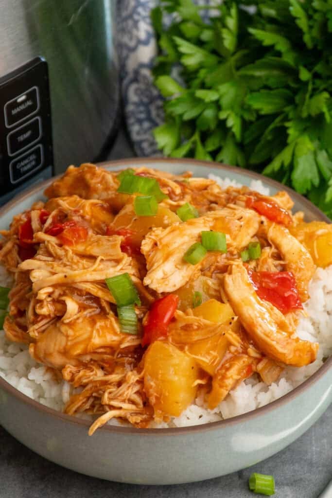 Crock Pot Pineapple BBQ Chicken - Slow Cooker Meals