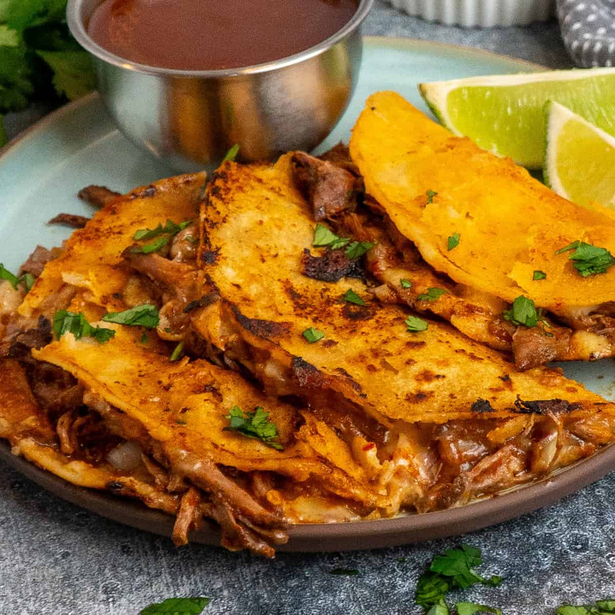 Find a recipe for Crock Pot Birria Tacos on Trivet Recipes: A recipe ...